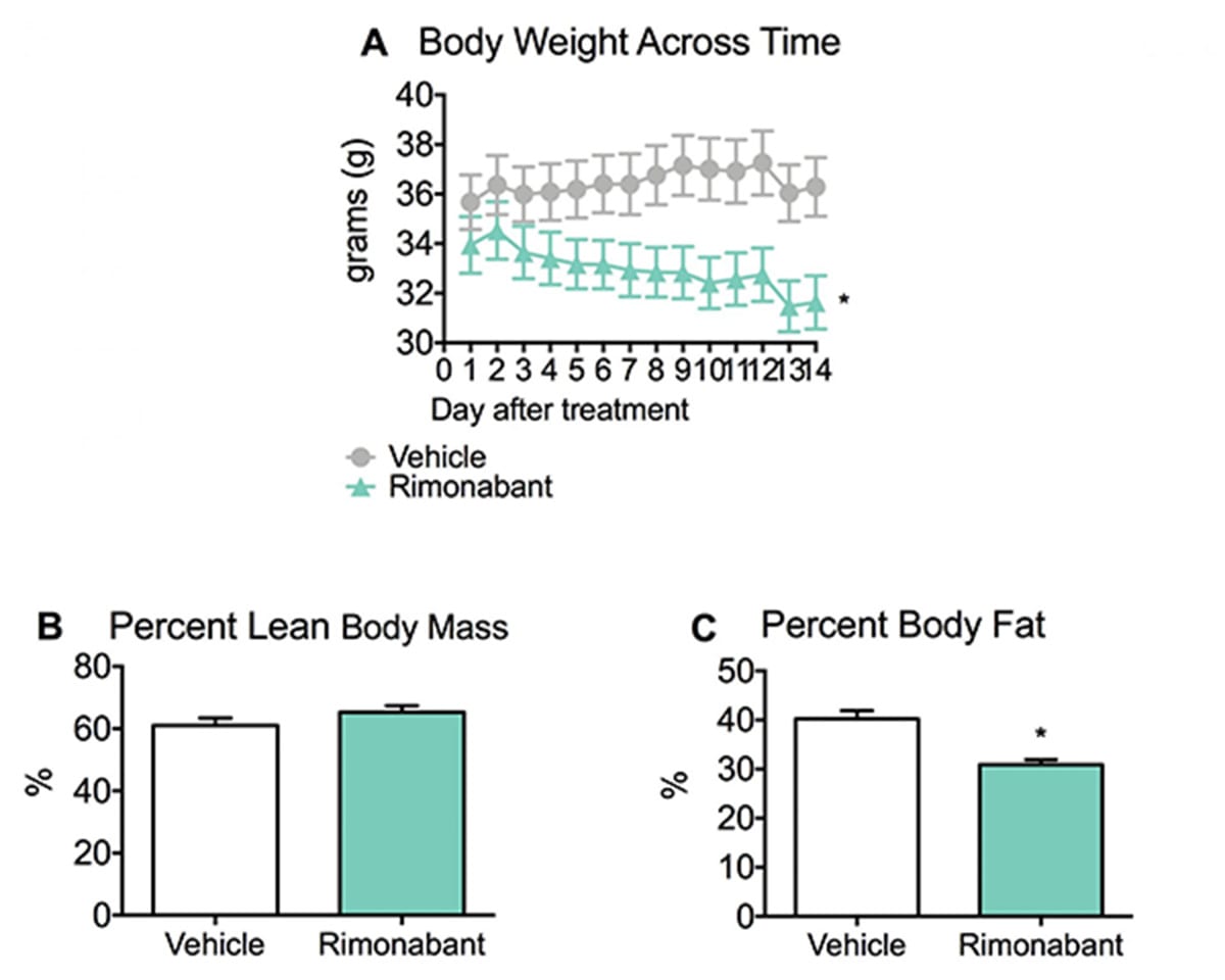 Diet-Induced Obesity (DIO) Mouse Model | Melior Discovery