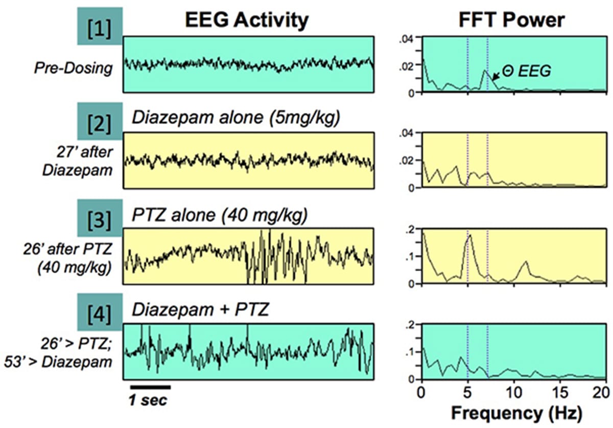 EEG Pro- and Anti- Convulsant Evaluation | Melior Discovery