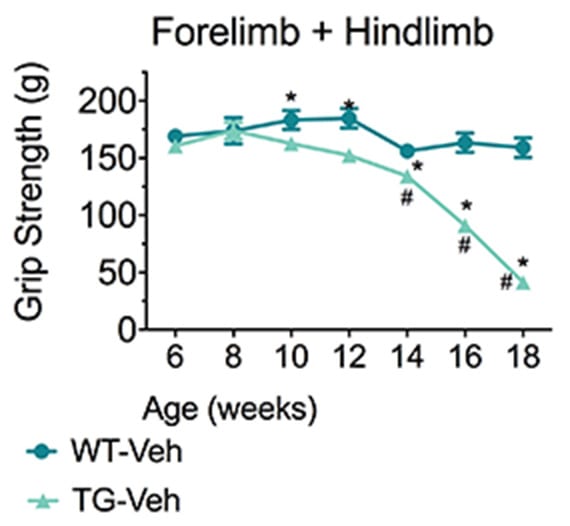 Grip Strength in Mice - SMA & ALS Model Test | Melior Discovery
