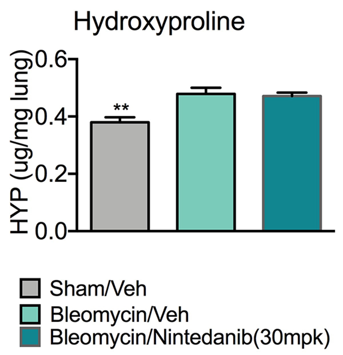 Bleomycin Lung Fibrosis Model, IPF Model | Melior Discovery