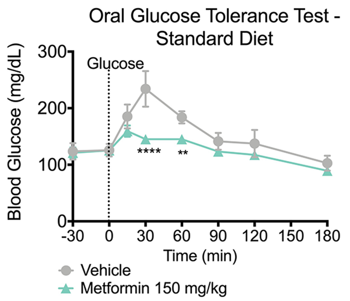 Oral Glucose Tolerance Test (OGTT) in Mice | Melior Discovery
