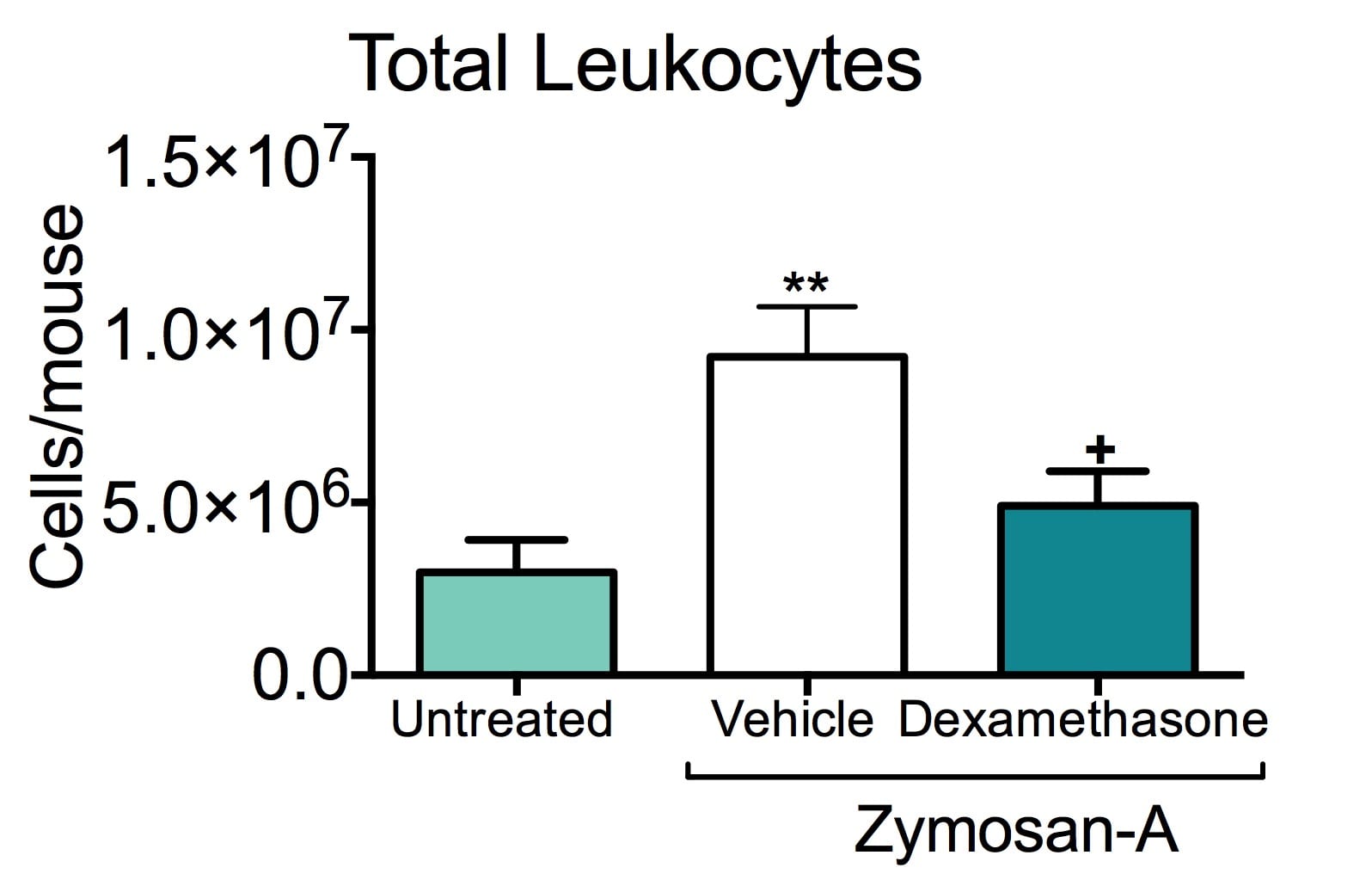 Zymosan-A Induced Acute Peritonitis Model | Melior Discovery