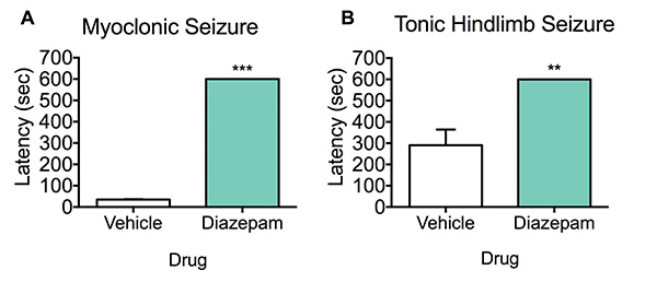 Pentylenetetrazol (PTZ) Induced Seizure Model | Melior Discovery