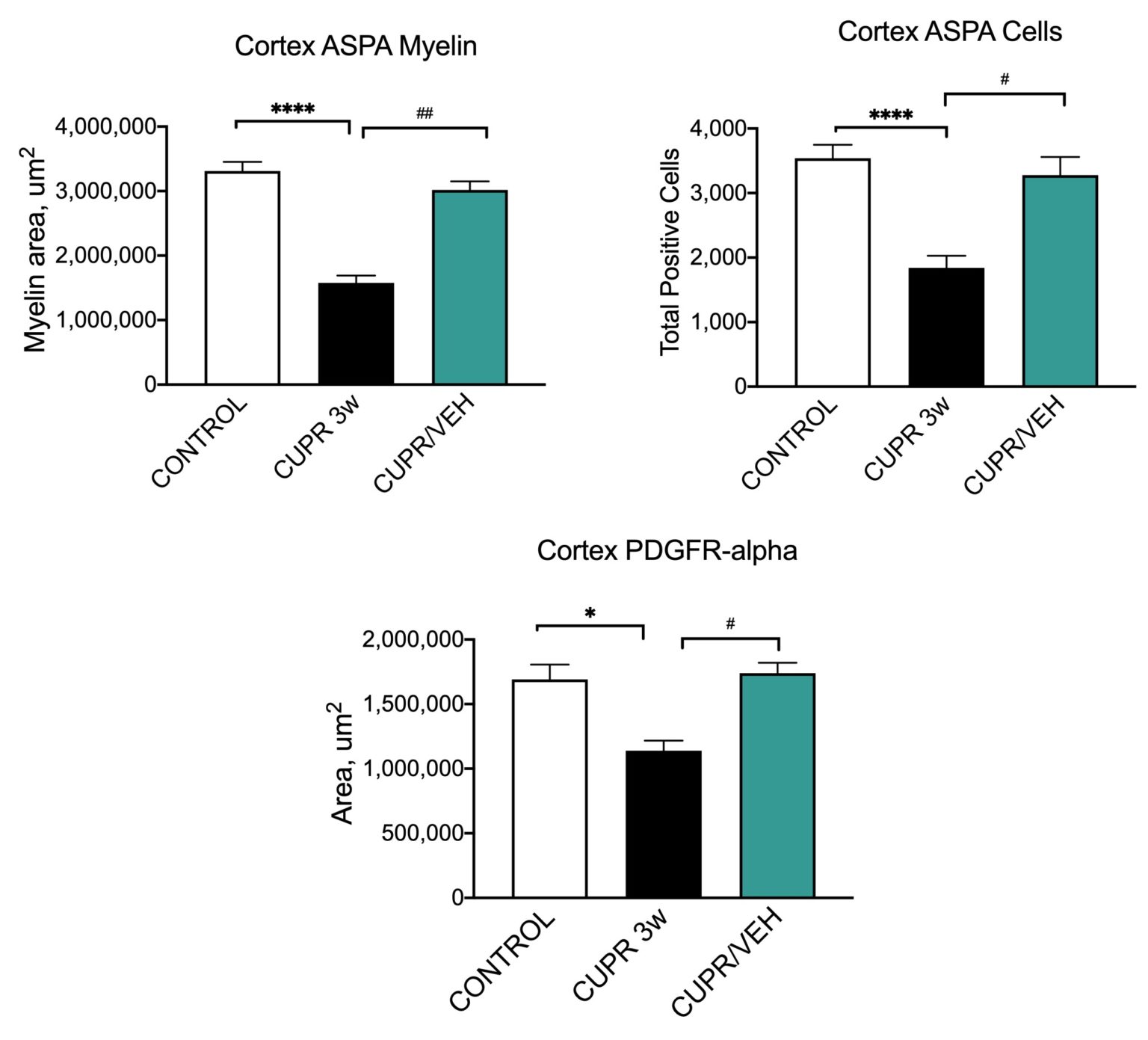 Cuprizone Model of Multiple Sclerosis | Melior Discovery