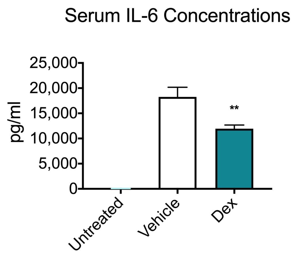 LPS Model of Sepsis | Melior Discovery